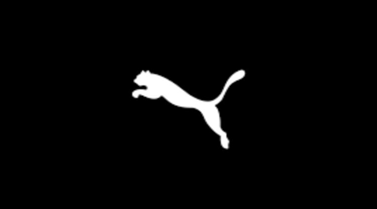 Puma's Roadmap to Sustainability: 2025 Supply Chain Revolution ...