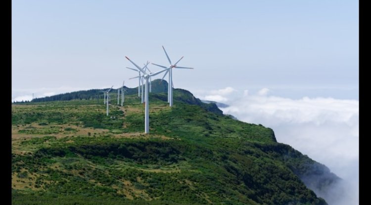 ONGC Green Acquires PTC Energy For $106M, Boosting Wind Power ...