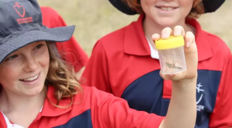 Citizen Science: Students Lead Insect Discovery, Environmental Action ...