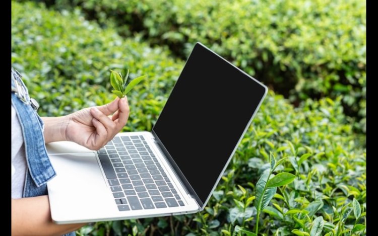 Carbon Alpha, Mangrove Launch Digital BECCS Project - Responsible Us