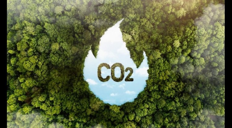 JPMorganChase Inks 10-Year Deal For Carbon Removal - Responsible Us