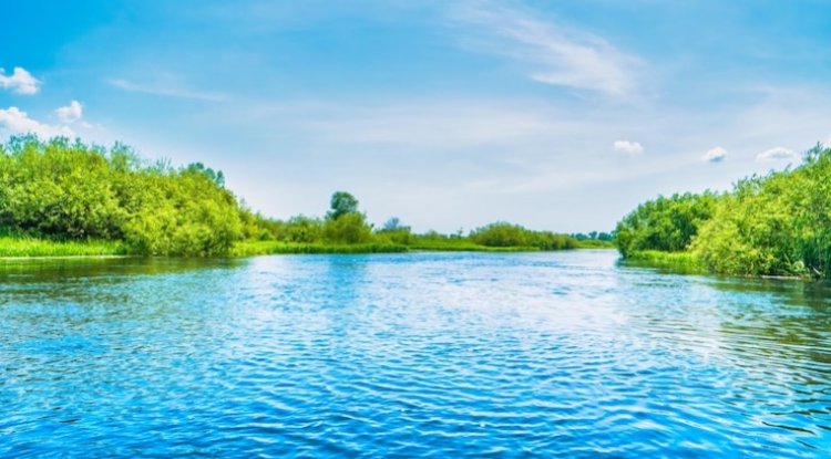 Adyar River In Chennai Begins Its Journey To Revival - Responsible Us