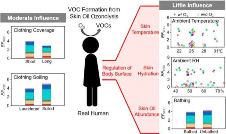 Ozone Drives VOC Emissions from Human Skin, Study Finds - Responsible Us