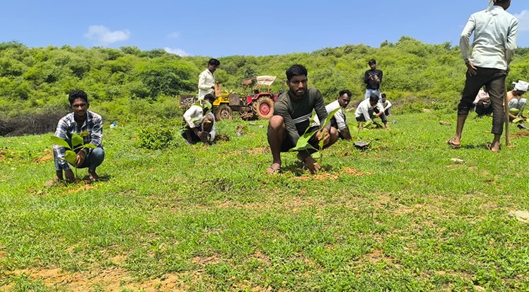 Standard Chartered and Haritika Partner with Indian Army to Plant One ...