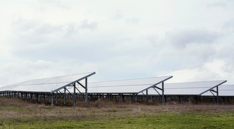 Central Electric Launches 100 Mw Solar In Carolina - Responsibleus