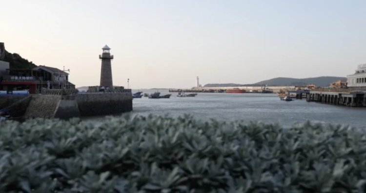 China’s Dachen Island Becomes Nation’s First Zero Carbon Community ...