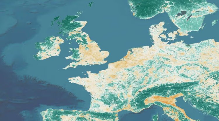 UN-Backed Group Launches New Template for Corporate Nature Reporting ...