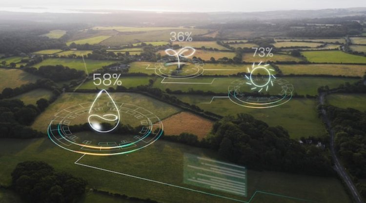Just Climate Raises $375M for Natural Climate Solutions Expansion ...
