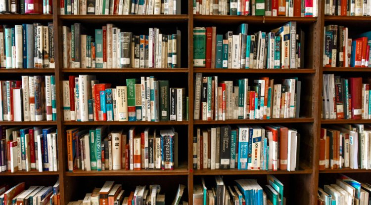 Academic Research Vital for Shaping UN Sustainable Development Policy ...