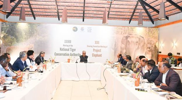 Centre Reviews Conservation Amid Rising Human–Wildlife Conflict ...