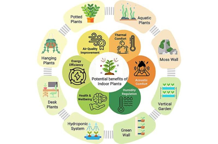 Indoor Greening Study Shows Plants Can Improve Air Quality, Comfort and ...